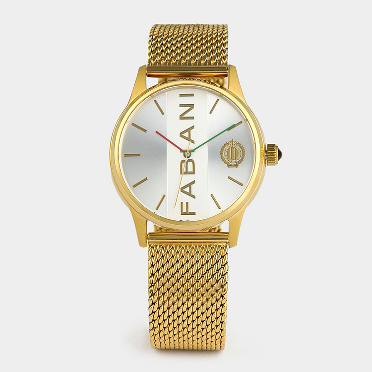 Fabiani Men’s Silver & Gold Plated Stainless Steel Mesh Watch