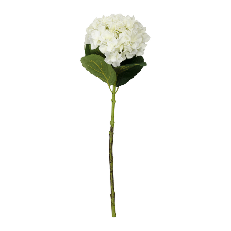 stem single hydrangea white 75cm